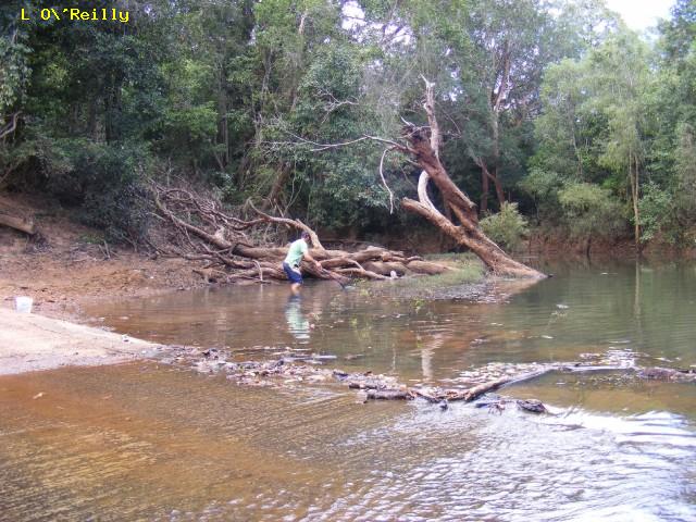 ANGFA Survey Data Maintenance