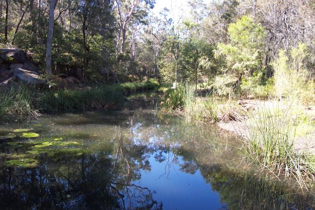 ANGFA Survey Data Maintenance